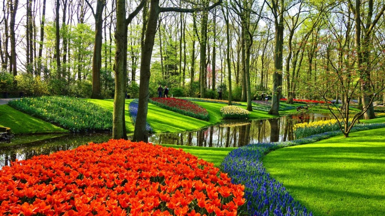 Los mejores parques de flores para visitas en primavera | VIAJESTIC